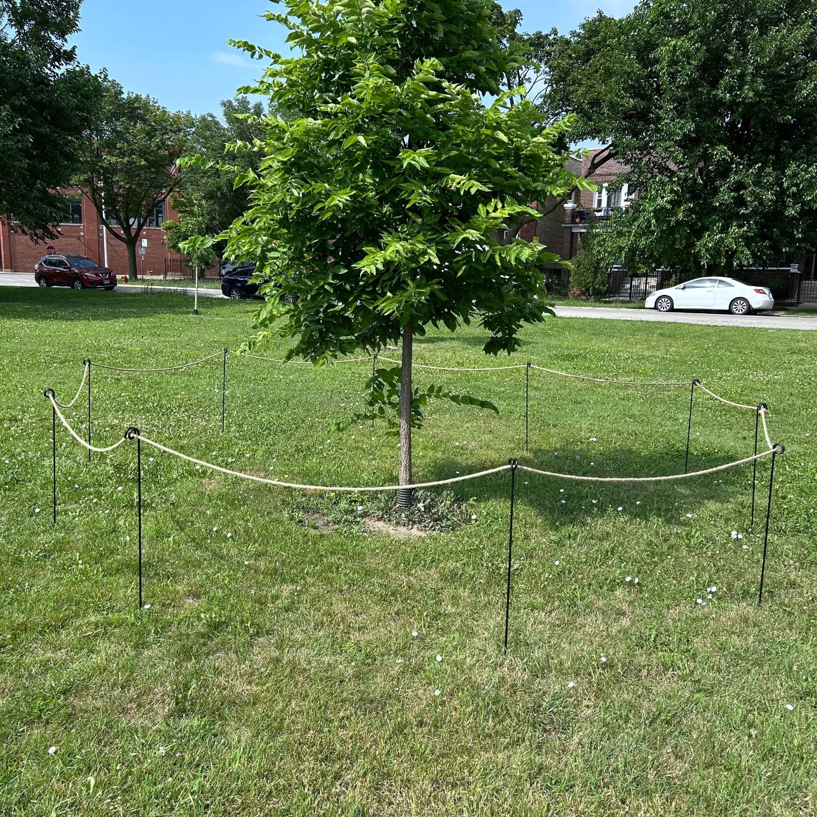 Rope Fence Pole Set - Heavy Duty Steel Rope Fence Poles - Made in USA ...
